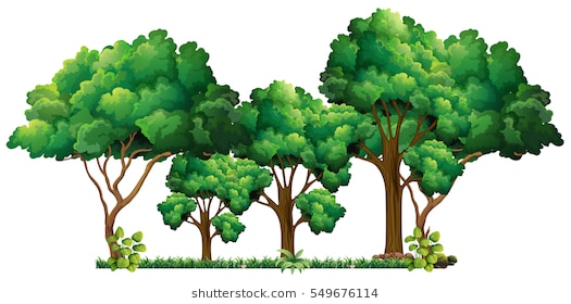 27+ Forest Clipart | ClipartLook